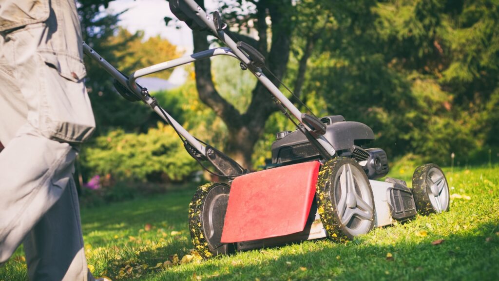 10 Ways People Ruin Their Mower Before Summer’s Over – Fix It Homestead