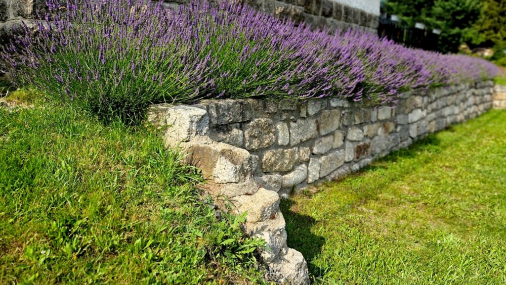 Landscaping Ideas That Work Great for Clay Soil – Fix It Homestead