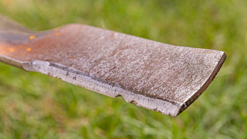 10 Easy Ways to Ruin a Mower—and How to Avoid Them – Fix It Homestead
