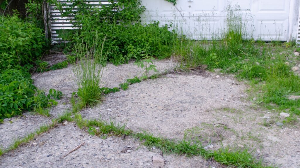 10 Things That Make Your Driveway Look Run-Down – Fix It Homestead