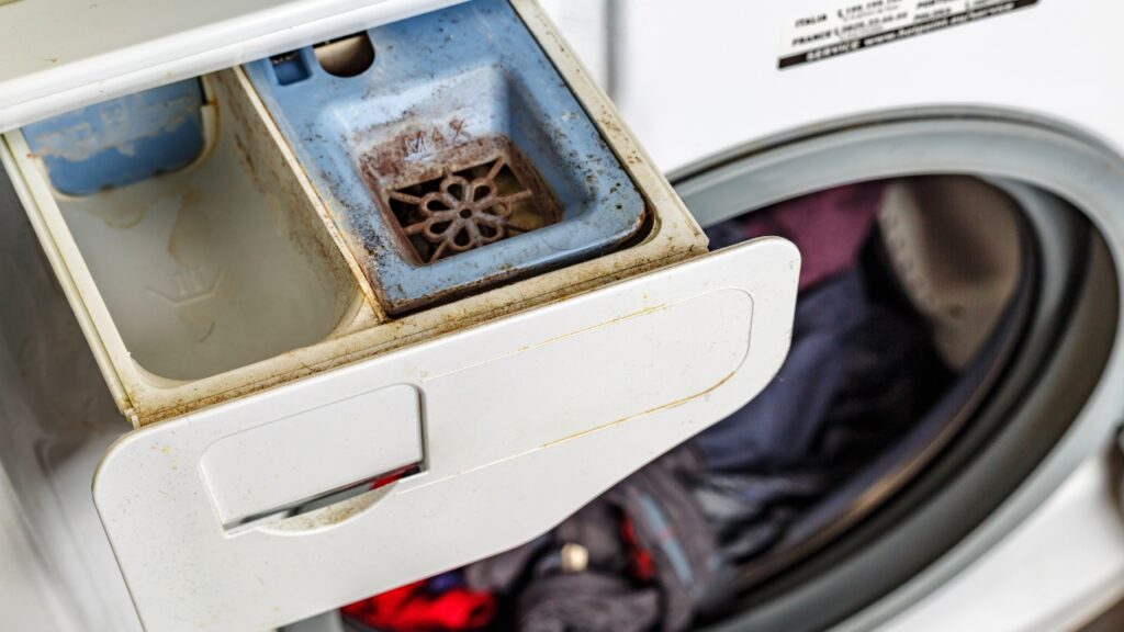 7 Habits That Are Causing Mold in Your Washing Machine – Fix It Homestead