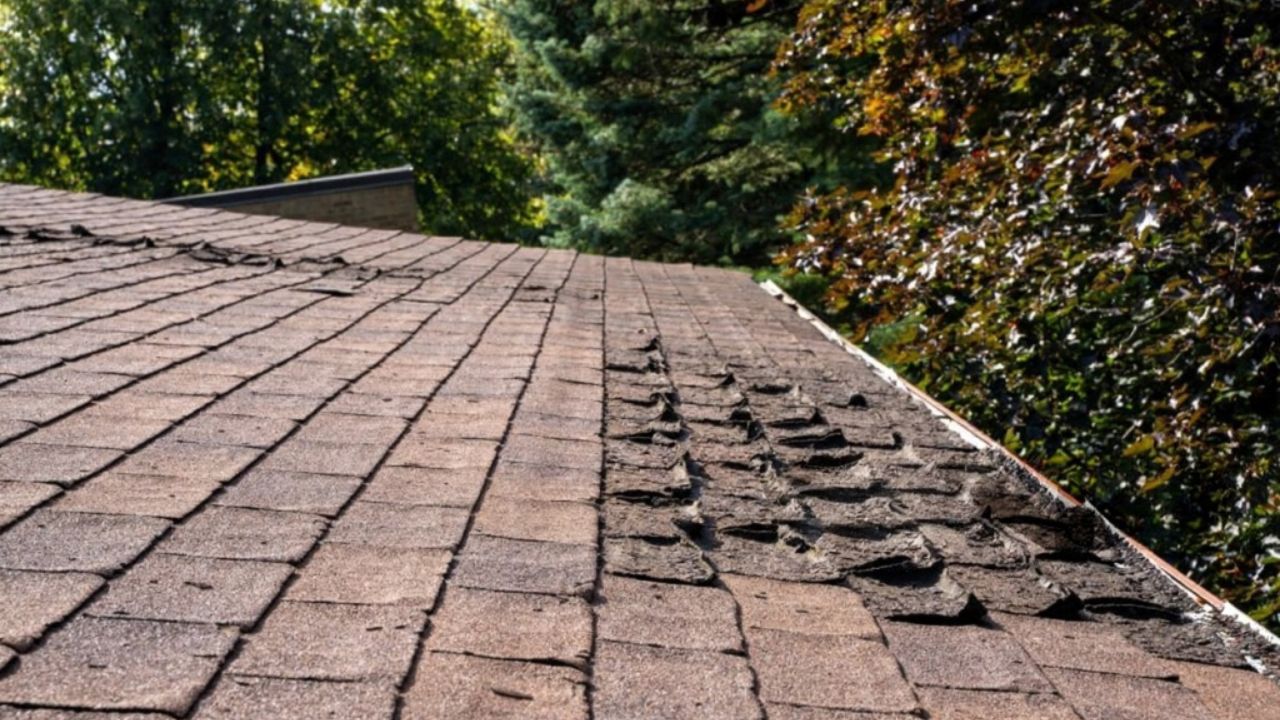 10 signs your roof isn’t ready for winter – Fix It Homestead